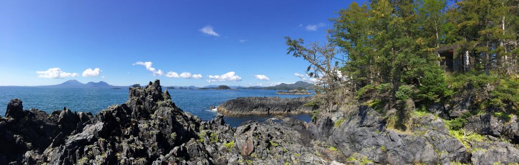 Home - Sea Level Consulting, LLC